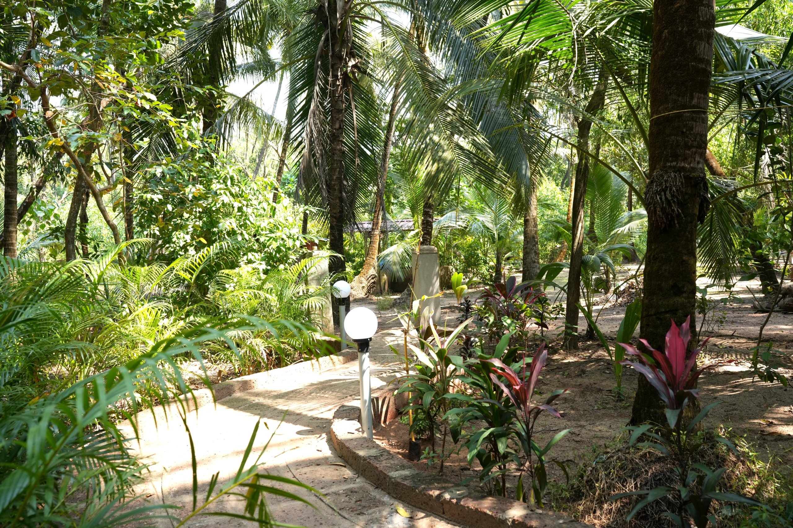 Gallery - Walawalkars Beach Resort