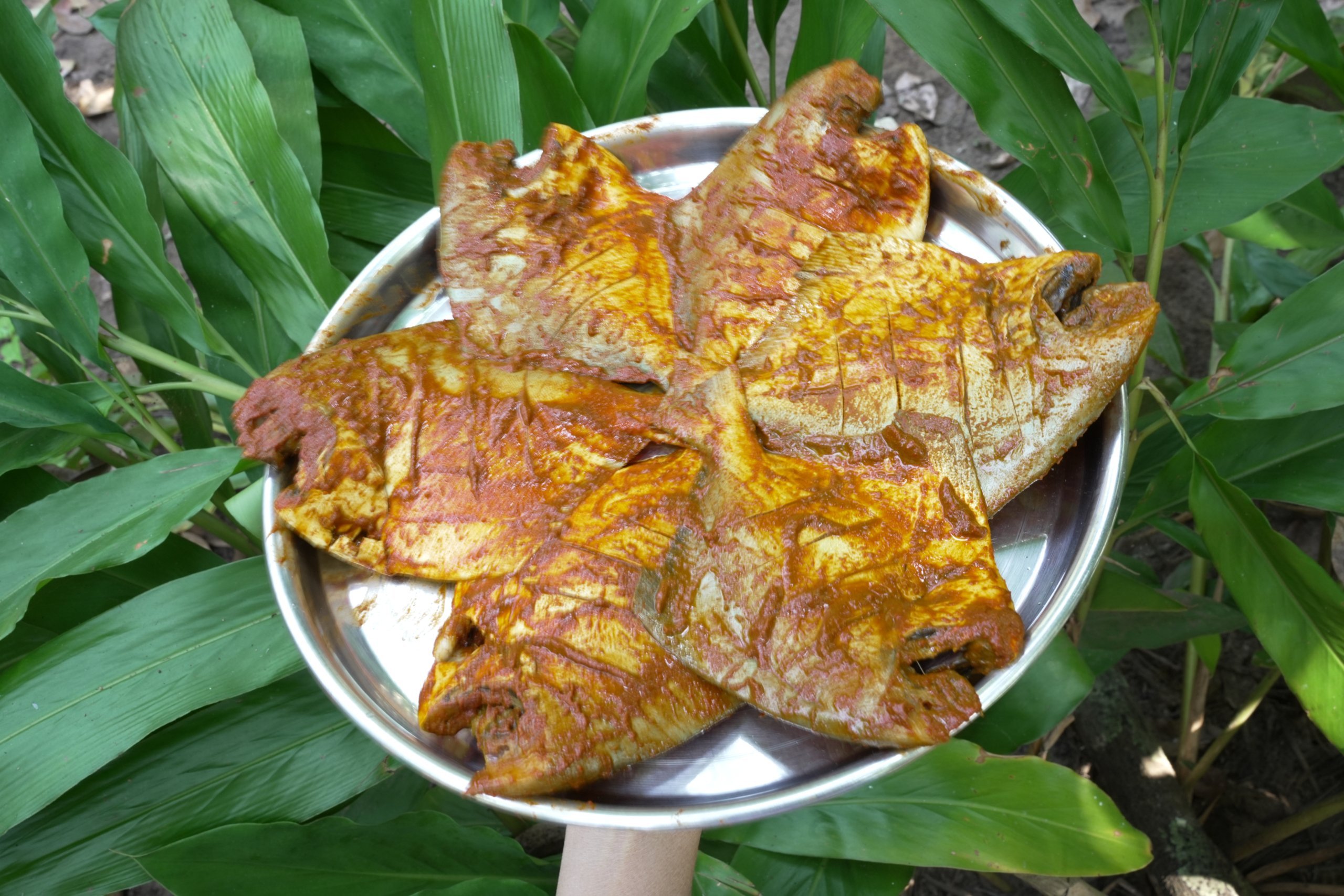 Gallery - Walawalkars Beach Resort